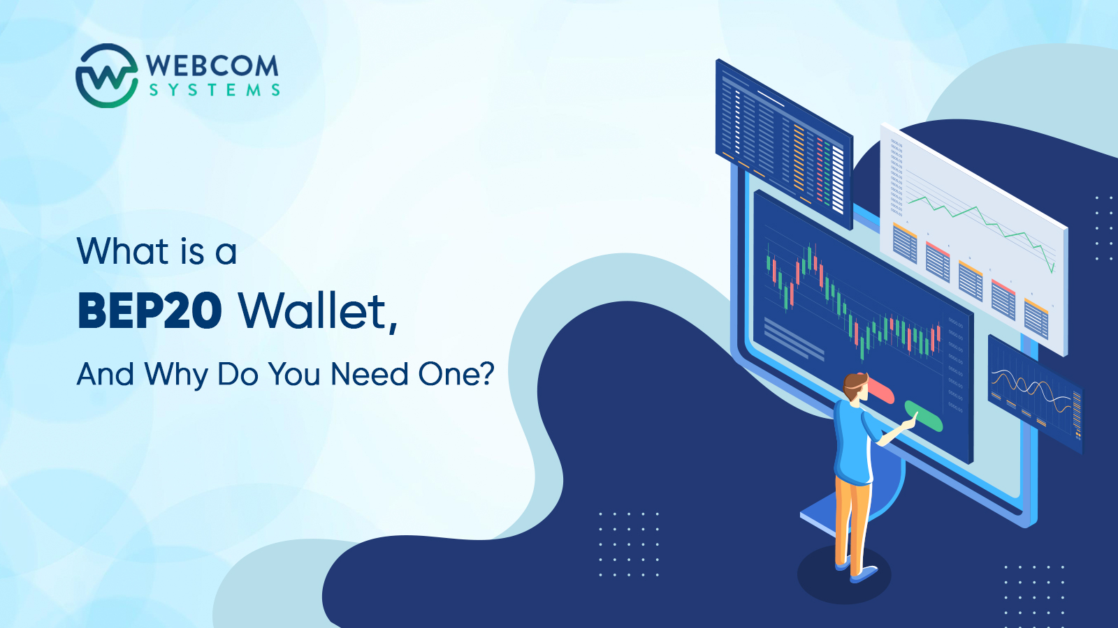 What is a BEP20 Wallet, And Why Do You Need One?